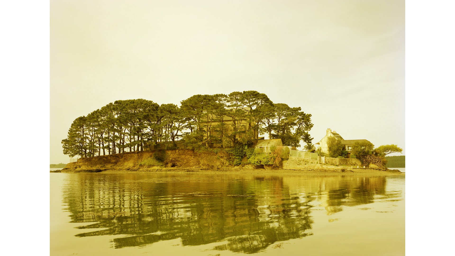 In Flux / Arp Museum