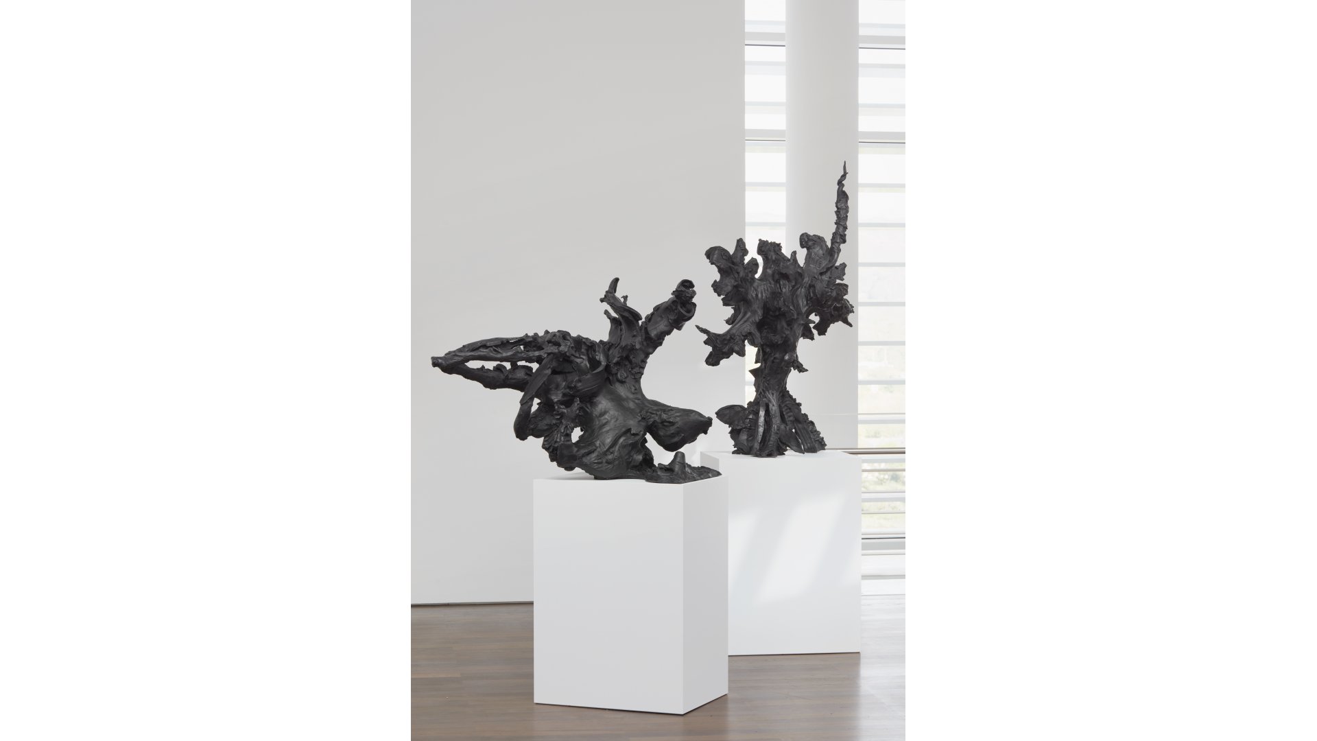 Stella Hamberg / Arp Museum Rolandseck