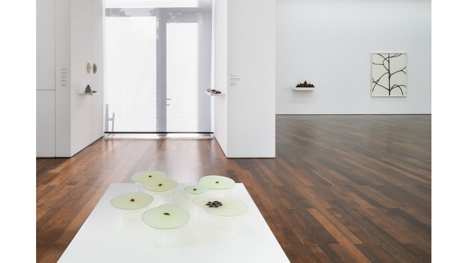 Christiane Löhr / Arp Museum Rolandseck