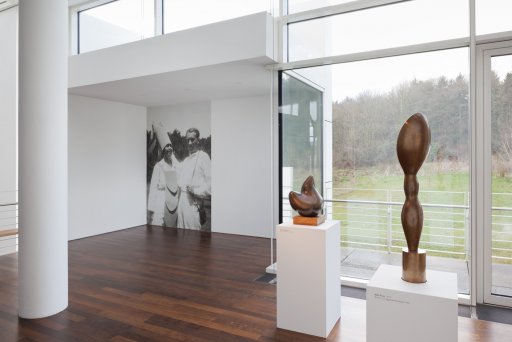 Preview / Arp Museum Rolandseck