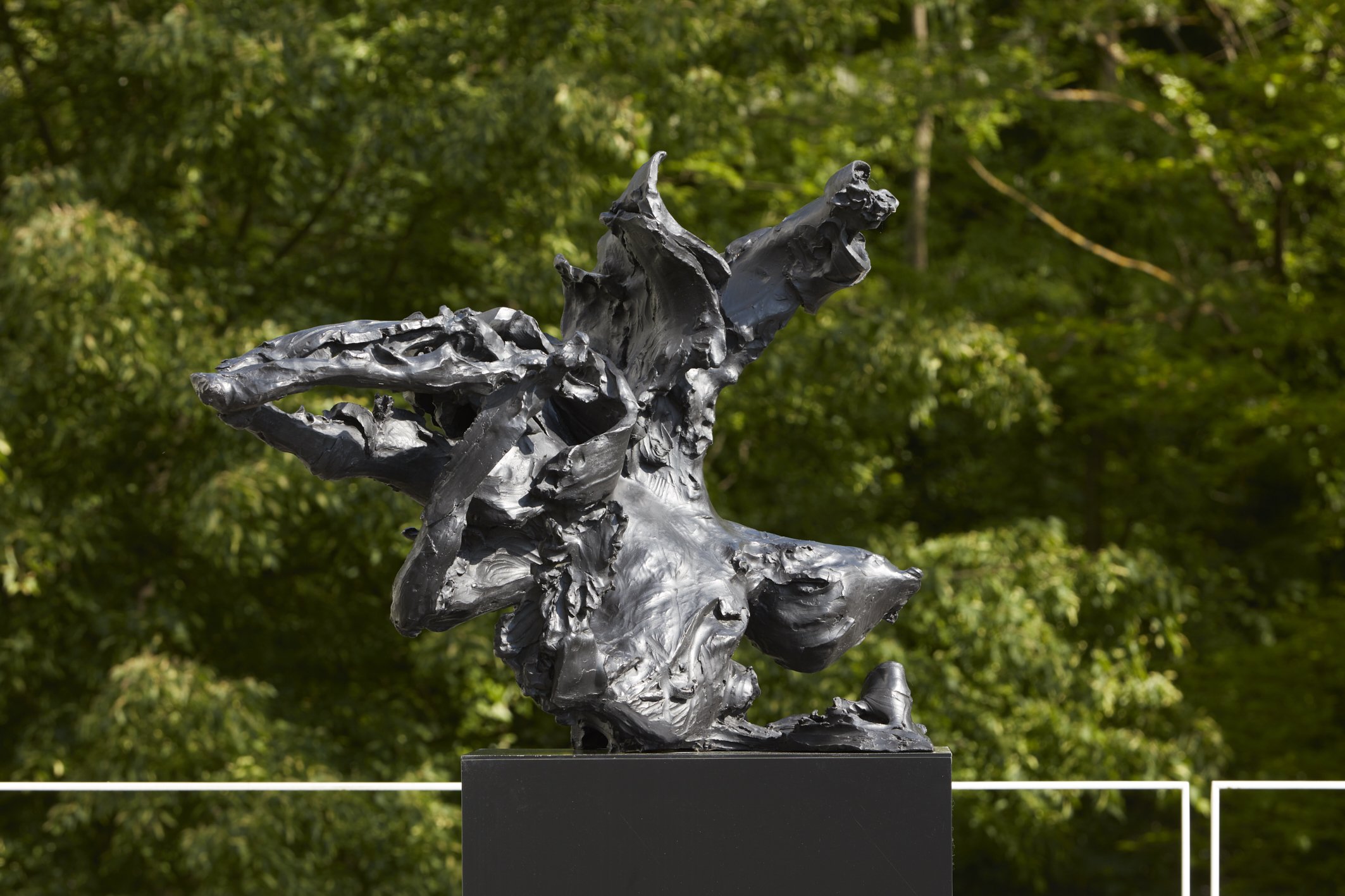 Stella Hamberg - the curve 2 - Stille / Arp Museum Rolandseck